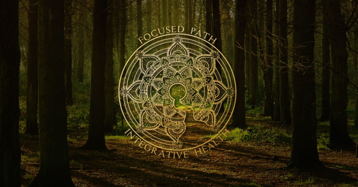 About Focused Path Integrative Health ⋆ Gainesville, Florida